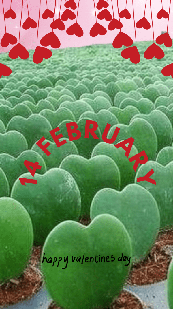 Dill-lightful Surprises: Spreading Pickle-Licious Love with HSU Growing ...