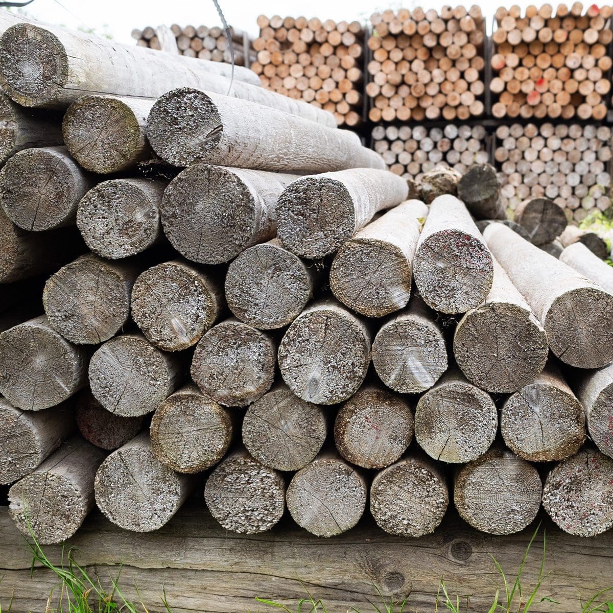 5" x 6" x 8 Used Cedar Posts | Hsu Growing Supply | Compost, Mulch ...